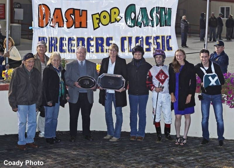 Nearly 40 Horses Need New Homes After West Virginia Trainer Killed In ...