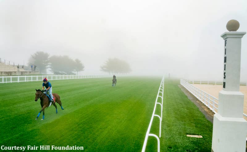 Fair Hill Turf Showcase: Flat Racing Returns To Elkton May 24 - Paulick ...