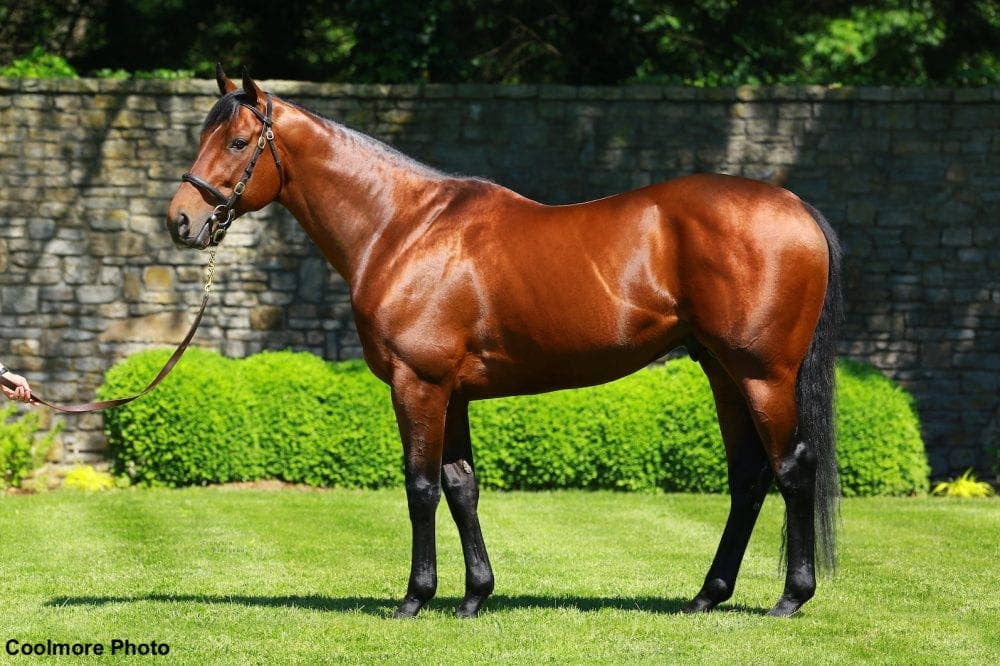 Bloodlines Presented By Walmac Farm: American Pharoah's Path Back To ...