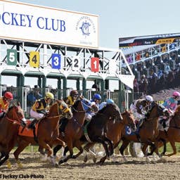The Haiku Handicapper Presented By FanDuel Racing: 2026 Black-Eyed ...