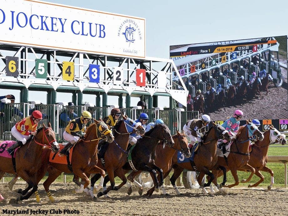 The Haiku Handicapper Presented By FanDuel Racing: 2026 Preakness ...