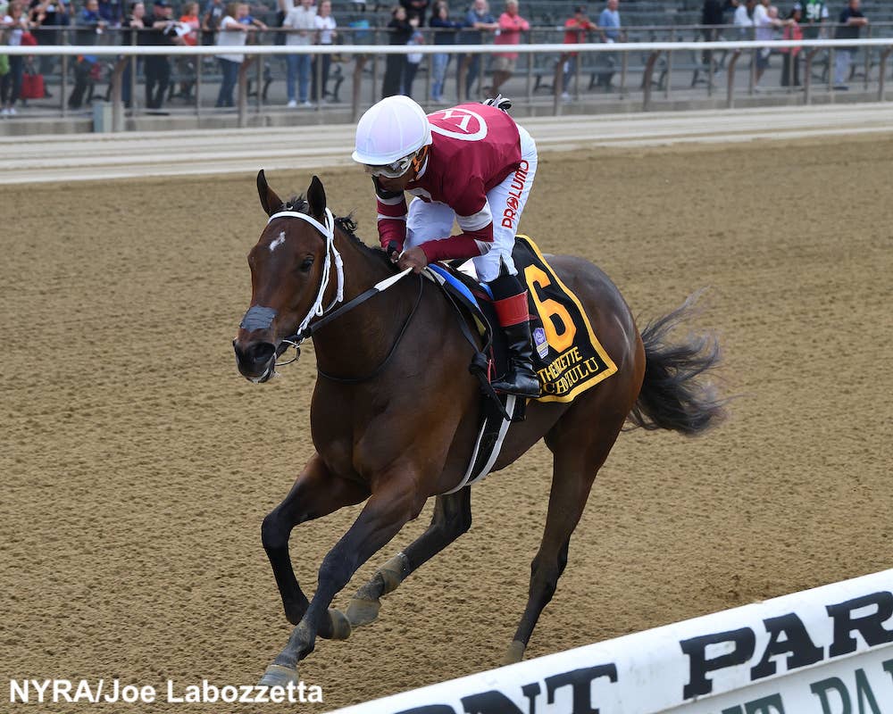 Champion Echo Zulu Dies In Stall Accident At Age 5 - Paulick Report