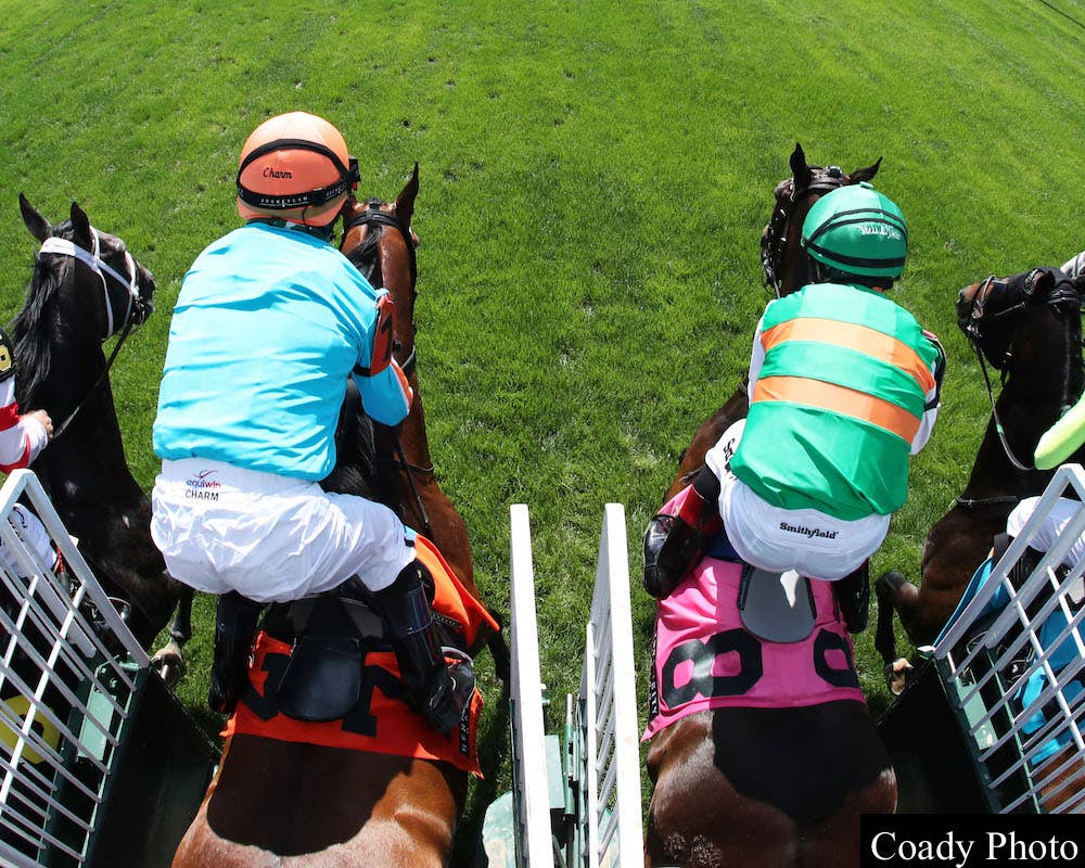 HISA Introduces First-Ever National Concussion Protocol For Jockeys ...