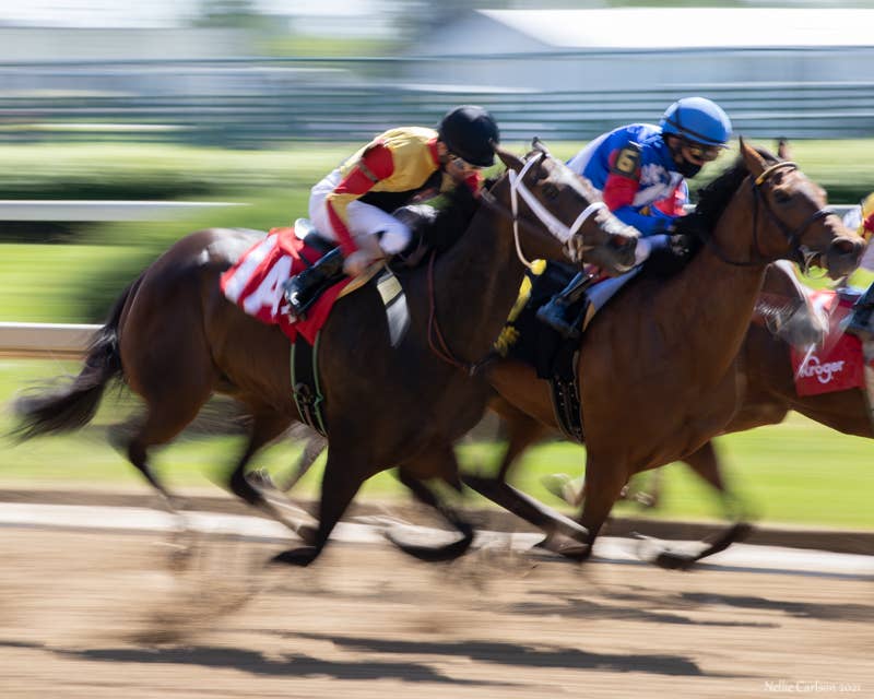 Thoroughbred Racing - Paulick Report