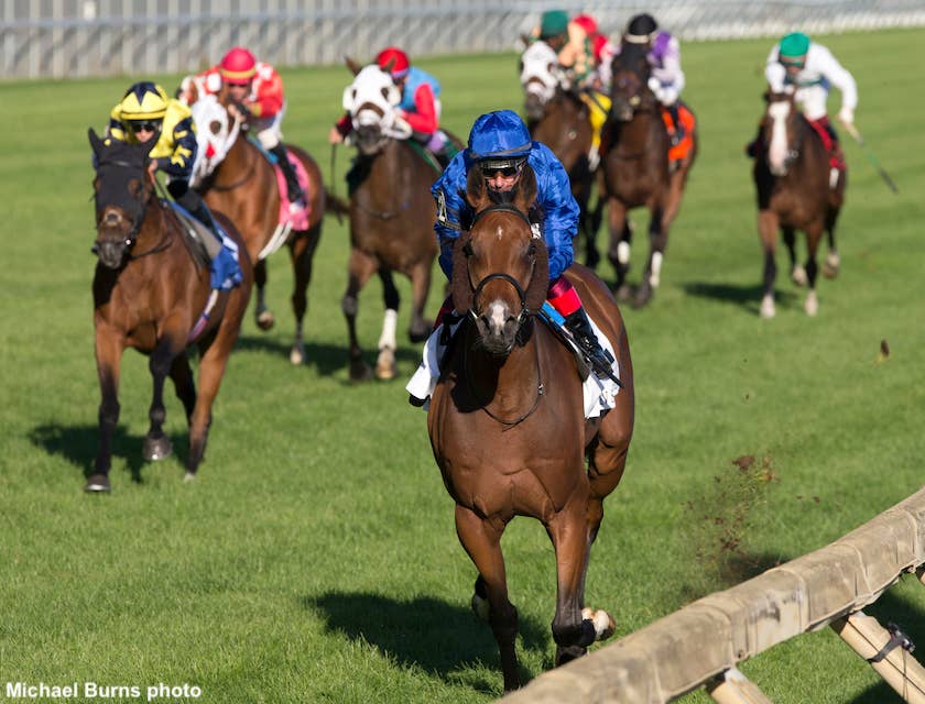 The Haiku Handicapper Presented By Woodbine: 2025 Canadian ...