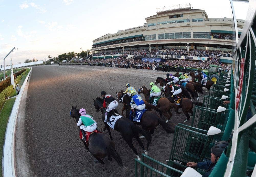 Gulfstream Park: Saturday's Rainbow 6 Has Mandatory Payout - Paulick Report