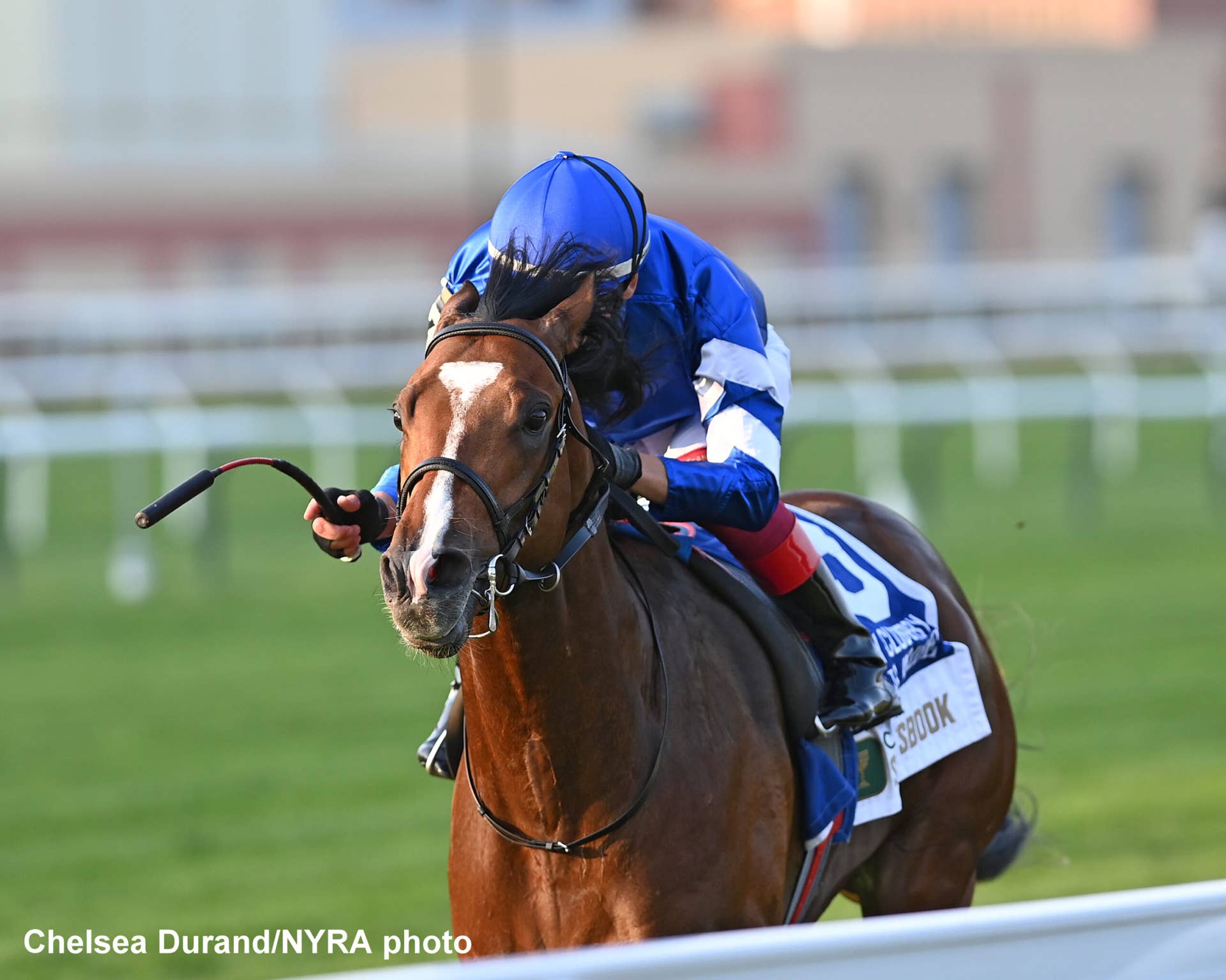 Appleby Sends Out Familiar Face Nations Pride And ‘Unexposed’ El ...