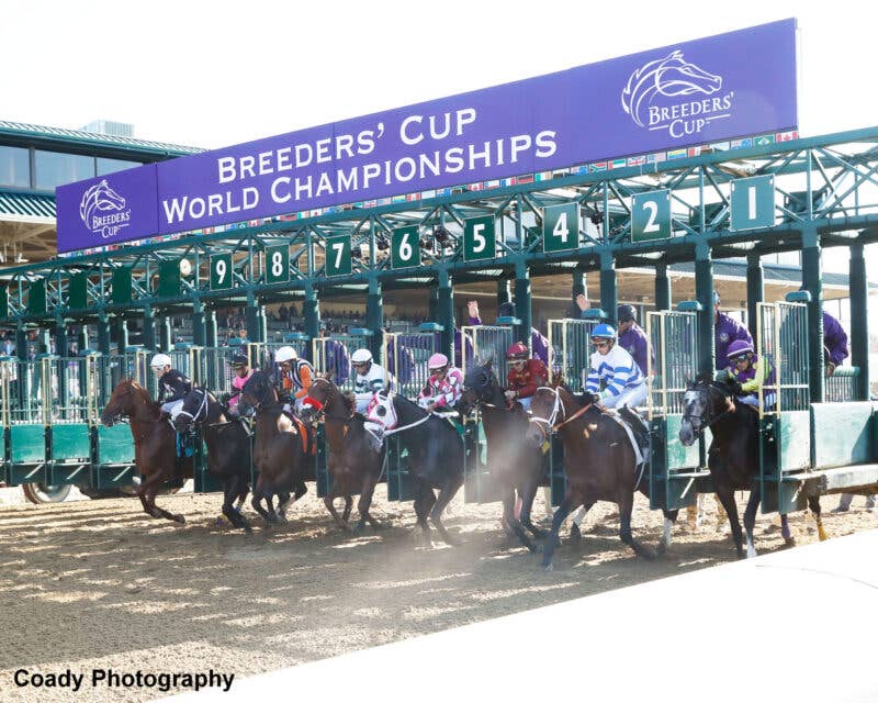Breeders' Cup Returns To Keeneland For 2026, Heads To Belmont Park In ...
