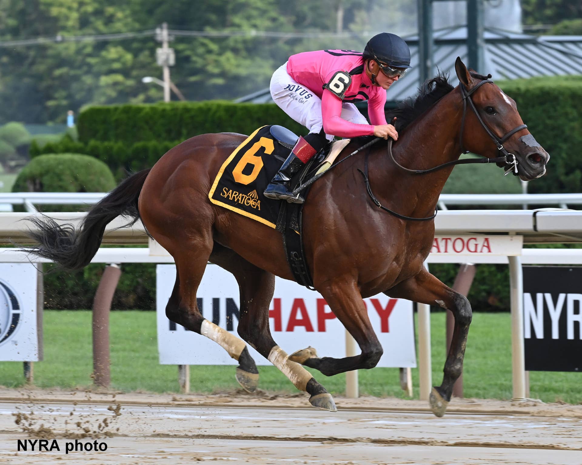'Into Mischiefs Can Do Anything': Make Mischief Set For First Turf Test ...