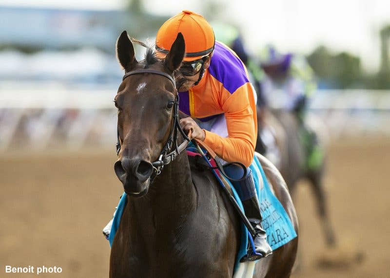 'Ready To Race': Grade 1 Winner Tamara Nearing Return At Del Mar ...