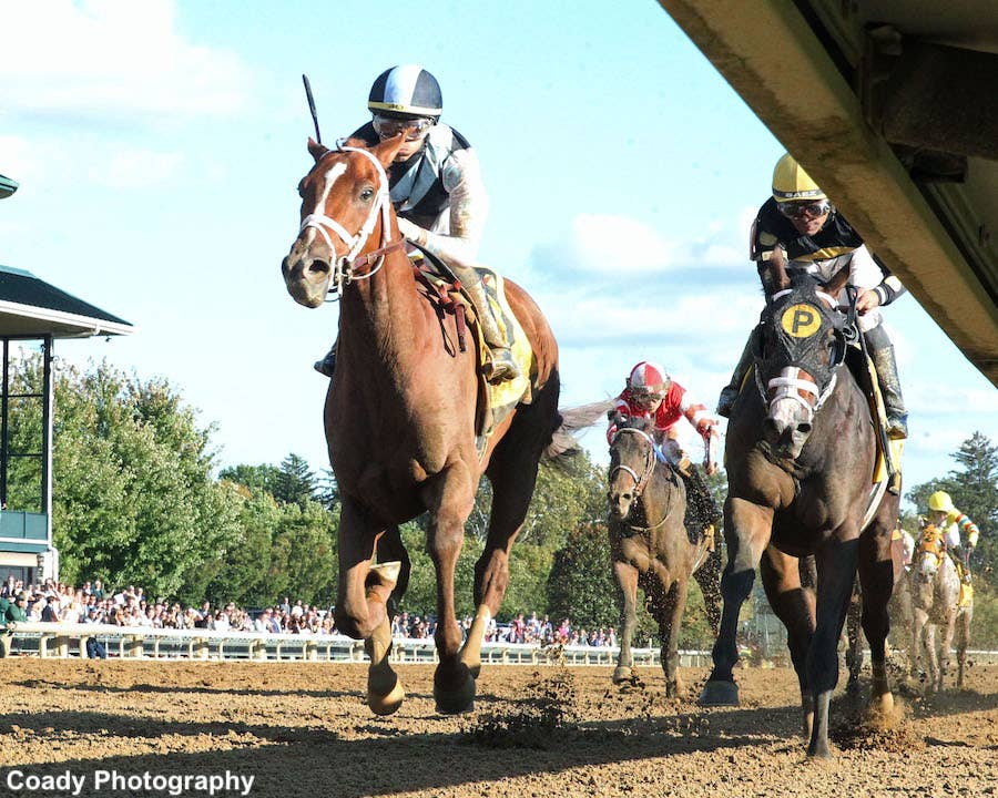 Breeders' Futurity Winner Locked Bears Early Fruits For Eclipse ...