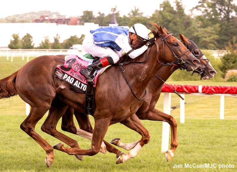 Eons, Sparkle Blue, Hybrid Eclipse Shine In Trio Of Stakes At Laurel ...