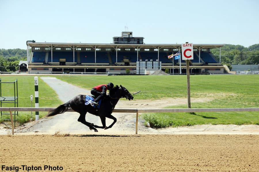 Fasig-Tipton's 2025 Midlantic May 2-Year-Olds In Training Catalog Now ...