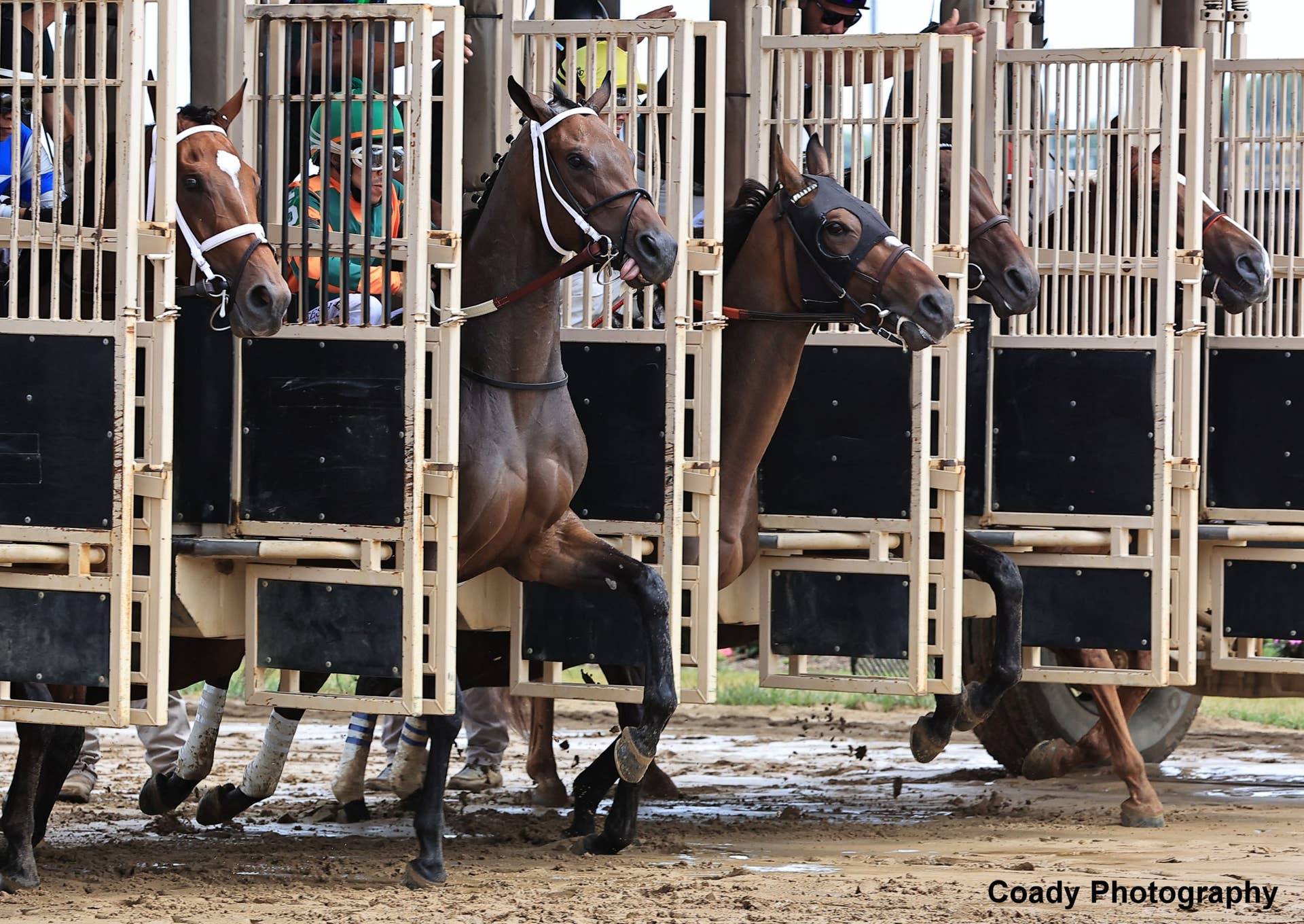 Horseshoe Indianapolis Cancels Thursday Card Due To Forecasted Unsafe ...