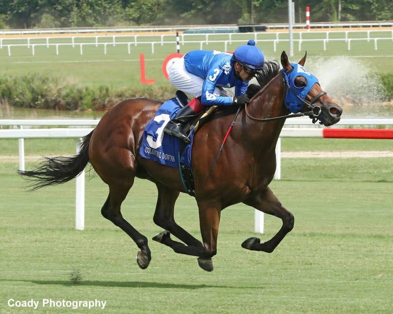 Determined Kingdom Named 2024 Virginia-Bred Horse Of The Year - Paulick ...