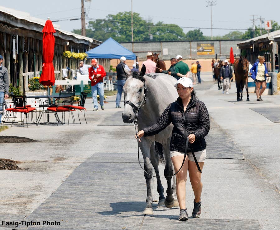 Fasig-Tipton's 2026 Midlantic May 2-Year-Olds in Training Sale Catalog ...