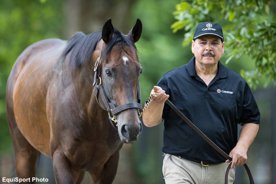 Gainesway Sets McKinzie's Fee At $75,000, Announces Fees For Incoming ...