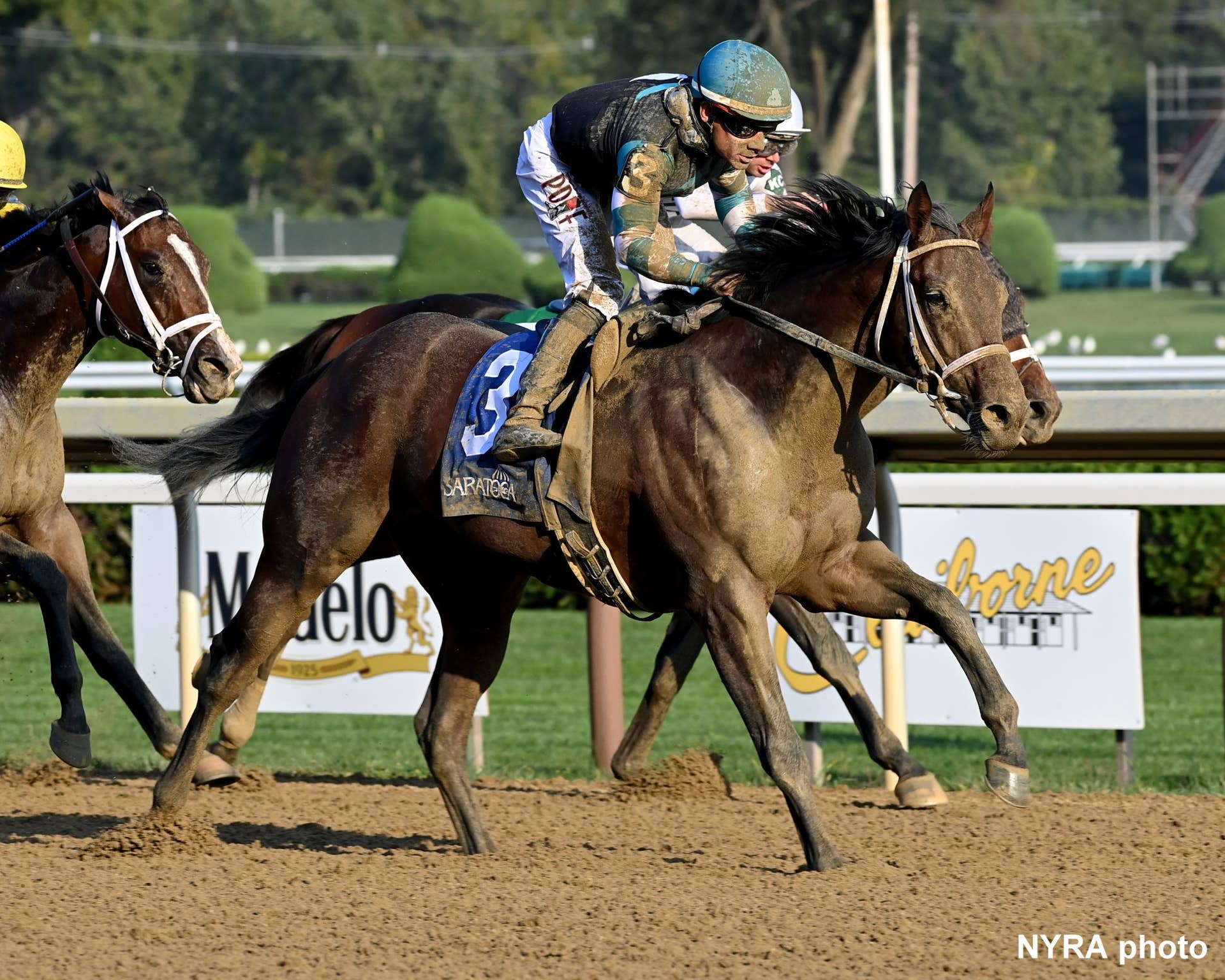 Second Week Stars Presented By Keeneland: Nutella Fella Was 'Pure Good ...