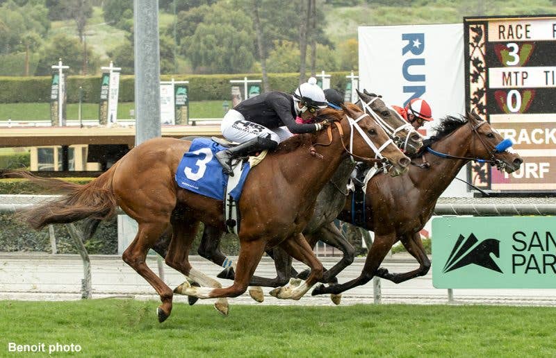 Cal-Bred Star The Chosen Vron Extends Win Streak In Sensational Star ...