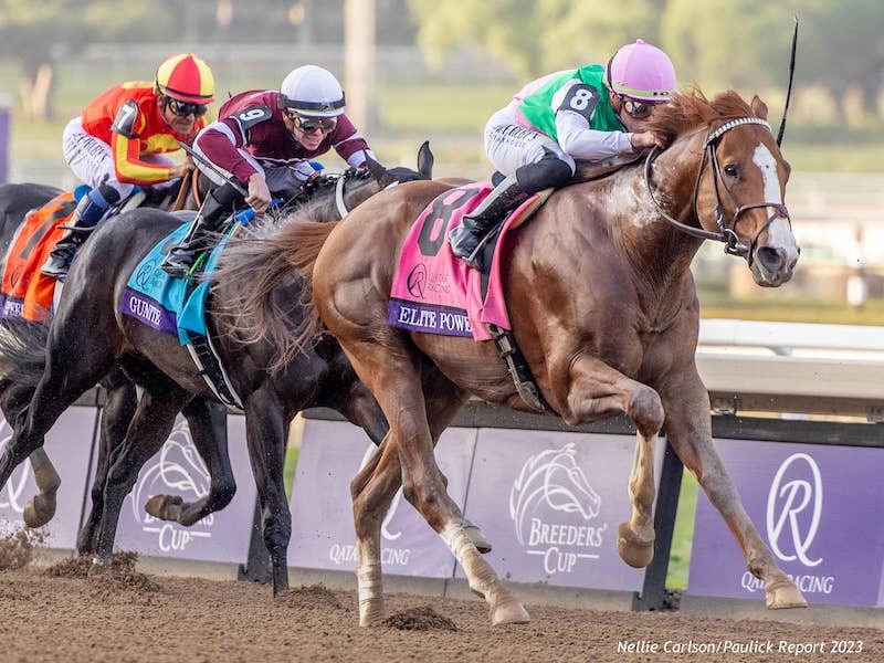 Elite Power Leads Juddmonte Farms' 2025 Stallion Roster At $50,000 ...
