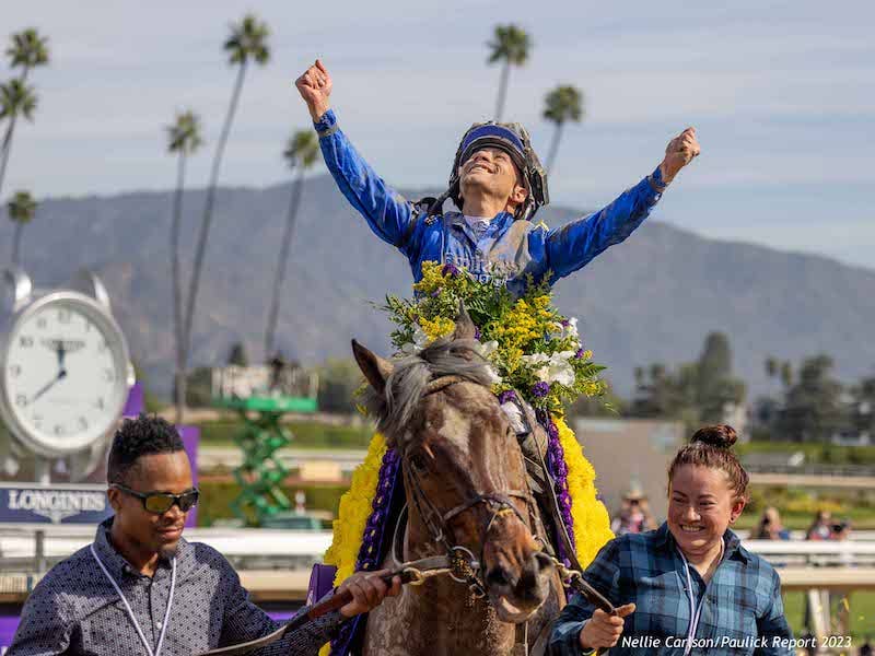 Cody's Wish Voted First Back-to-Back Winner Of Vox Populi Award ...