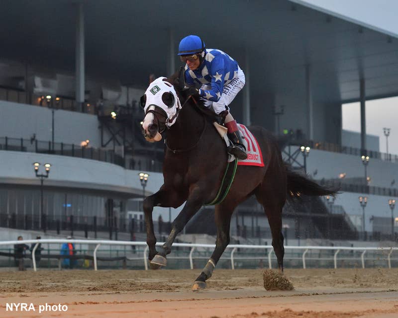 Saudi Cup Penciled In For Front-Running Cigar Mile Winner Hoist The ...