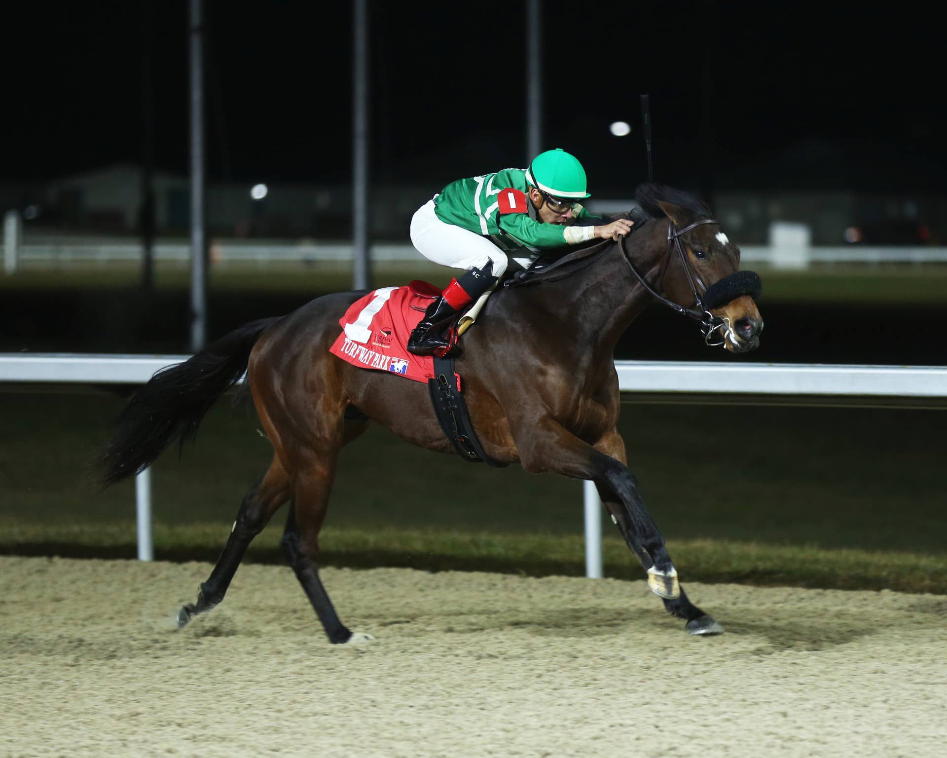 Vote No To Make Quick Turnaround For Turfway's Leonatus - Paulick Report