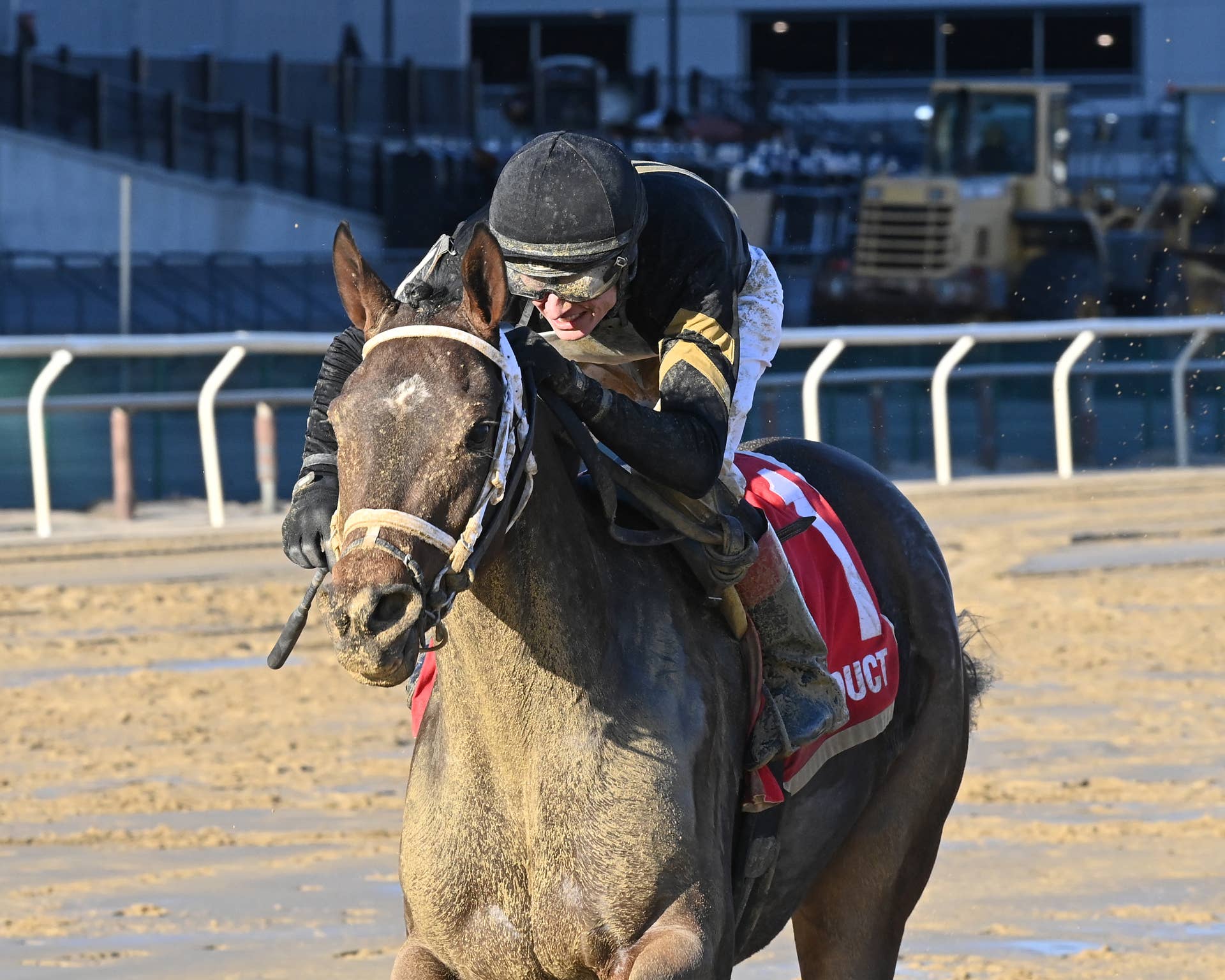 Road To Kentucky Oaks: Gin Gin Cruises Clear In Busanda - Paulick Report