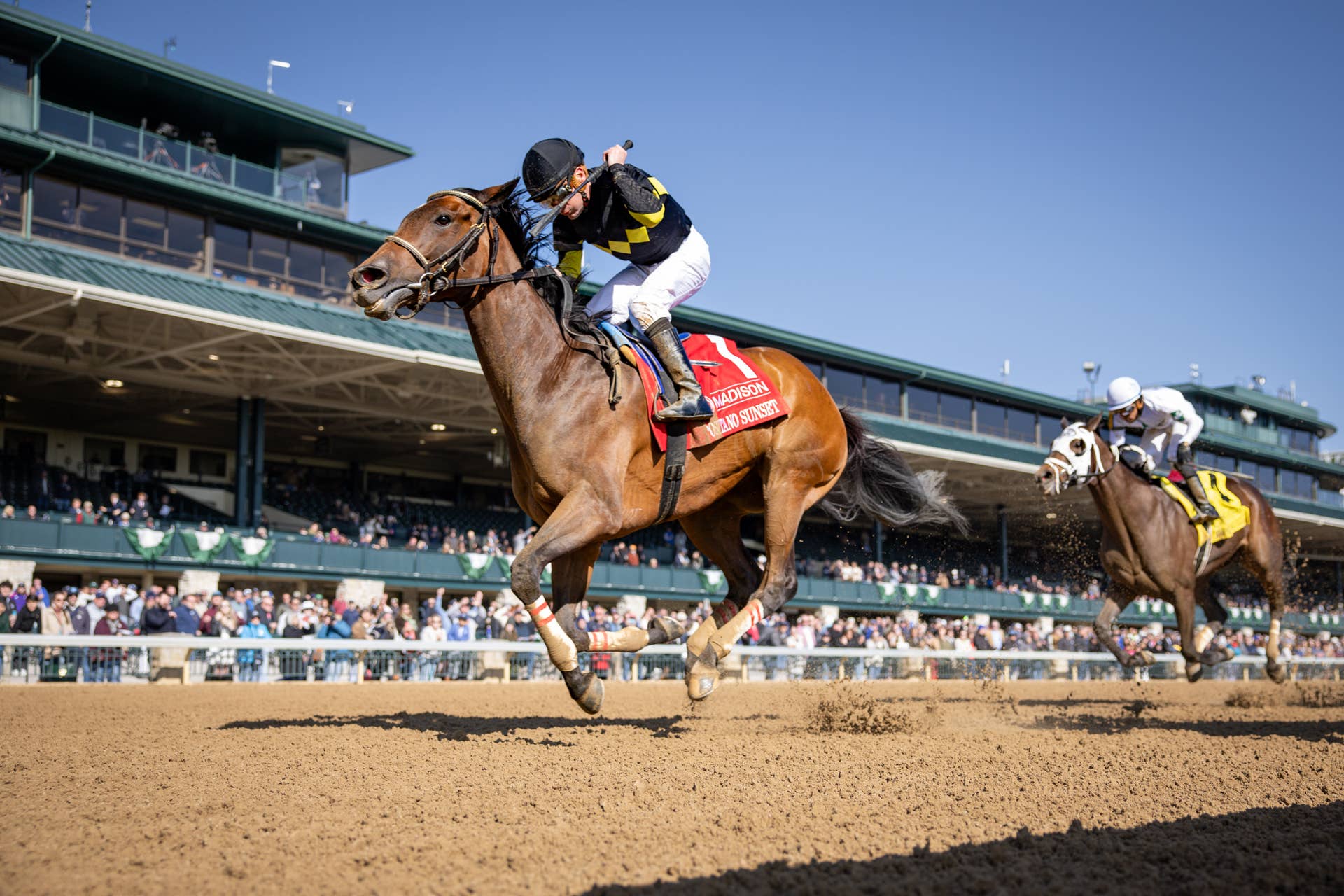 'Matured' Positano Sunset Springs 14-1 Upset In Madison - Paulick Report
