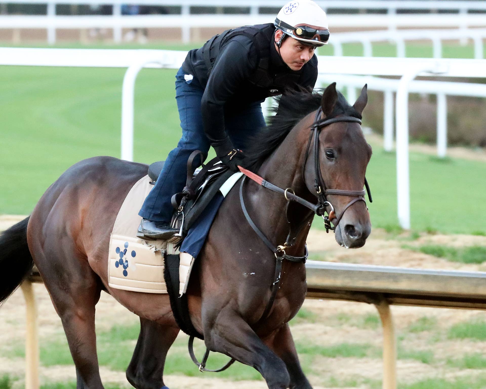 Kentucky Derby Alum Flying Mohawk Continues Comeback In Woodchopper ...