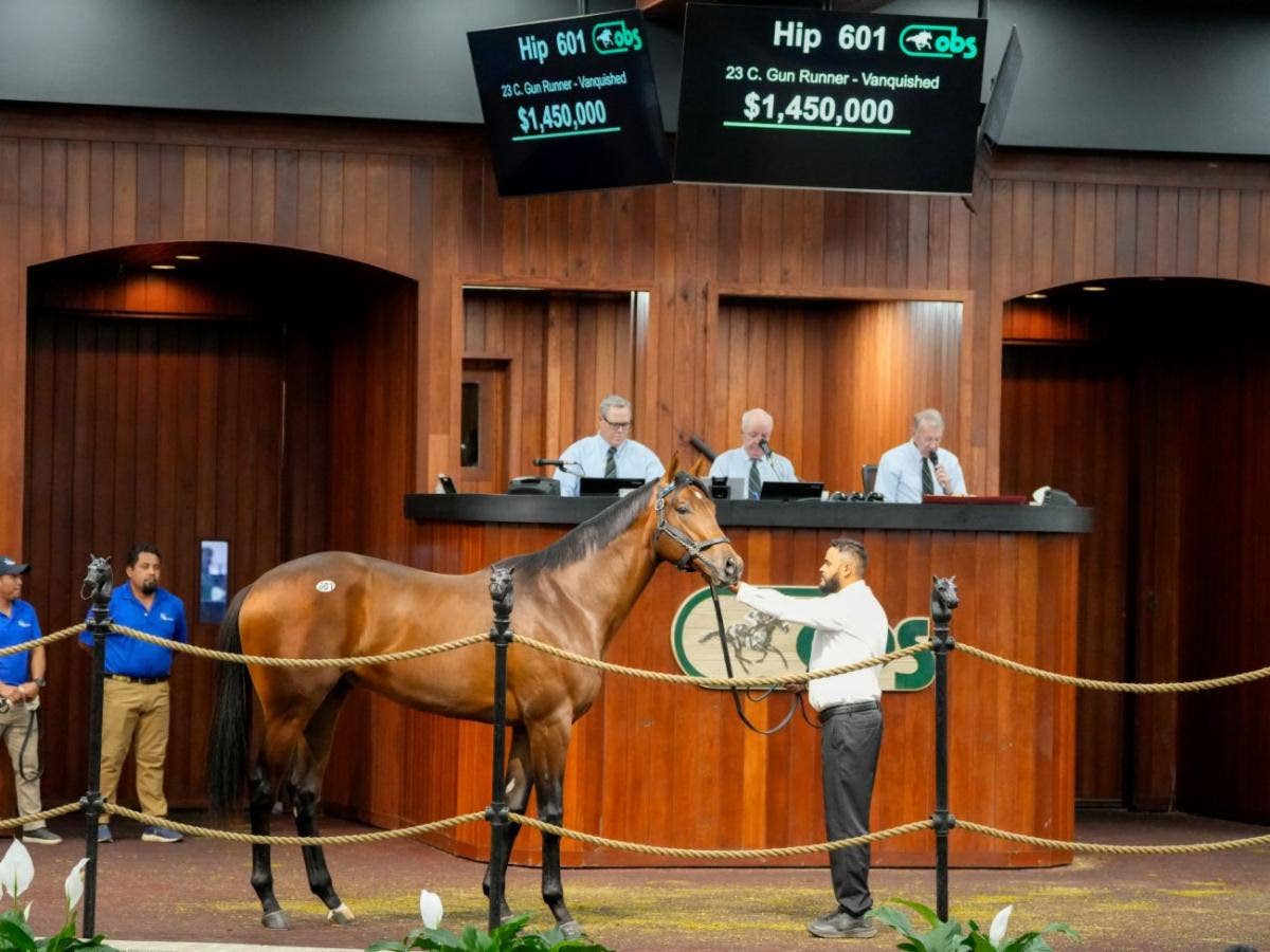 Son Of Gun Runner Brings $1.45 Million To Lead Banner Day At OBS Spring ...