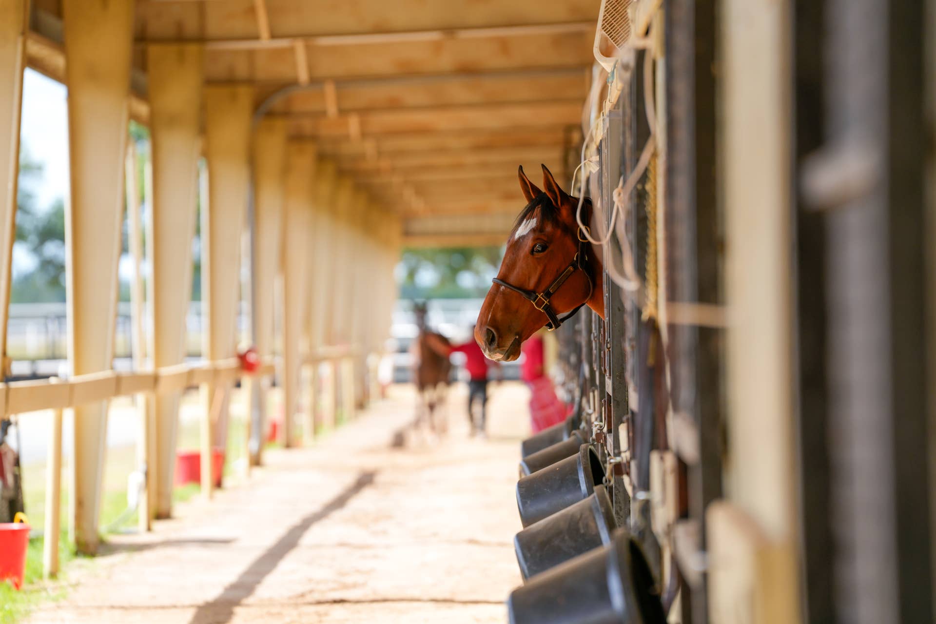 Two Tie For Fastest Eighth During Day 4 Of OBS June Under-Tack Show ...