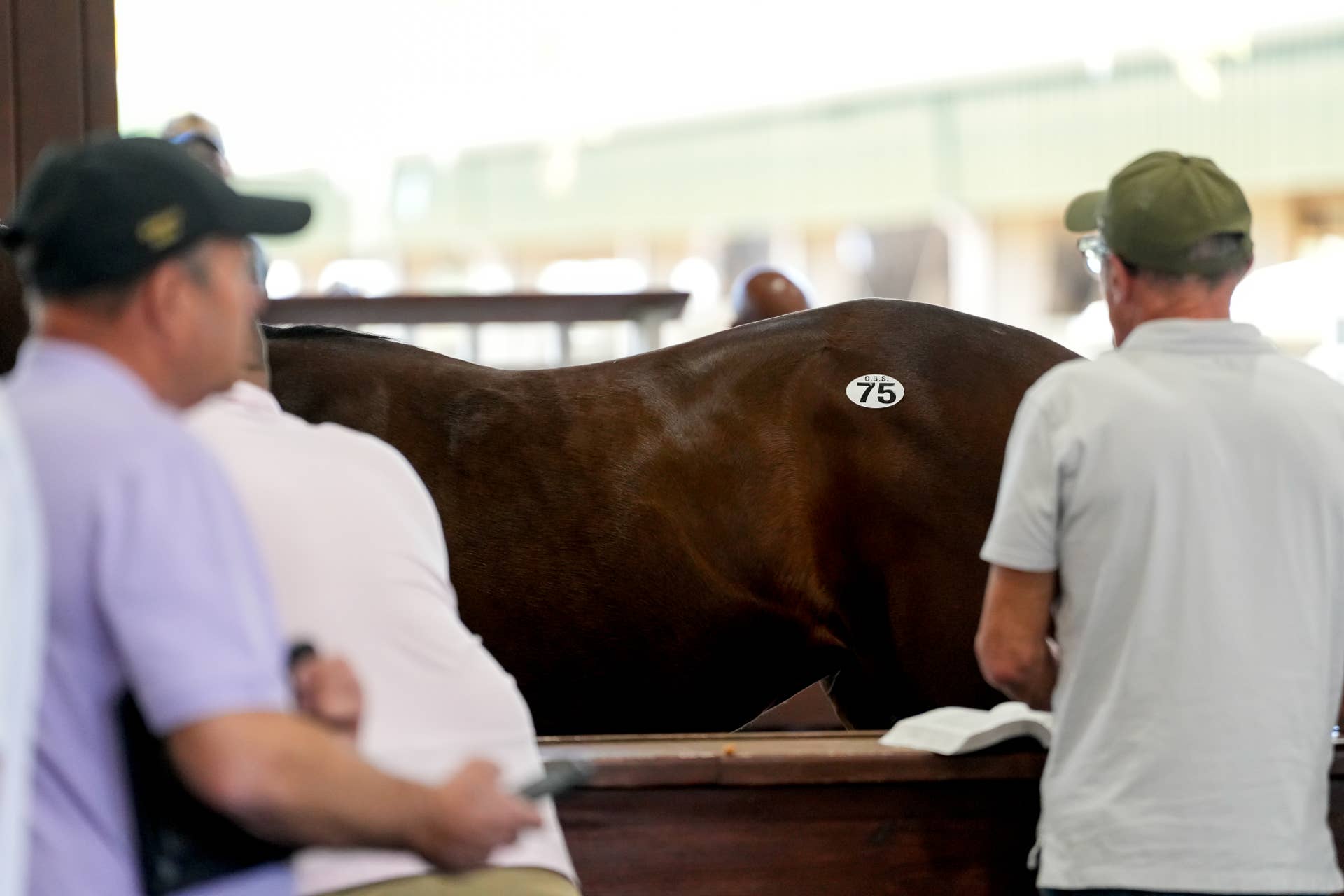 OwnerView Webinar Covers Tools, Programs For Attending Auctions ...