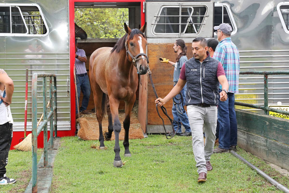 Trainer Mike Dini Among First Arrivals At Monmouth Park Ahead Of Meet ...