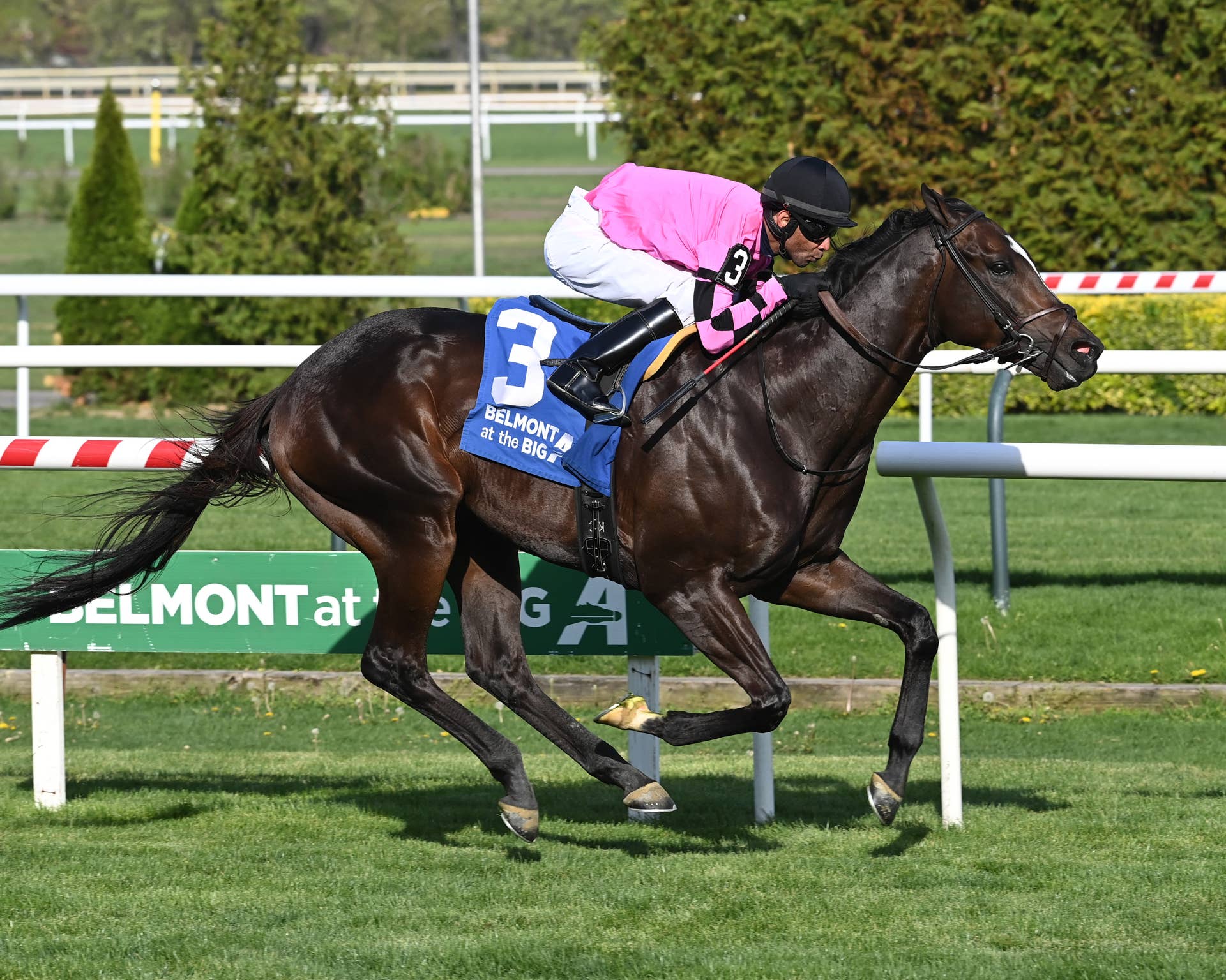 Deterministic To Bid For Fort Marcy Repeat After Keeneland Scratch ...