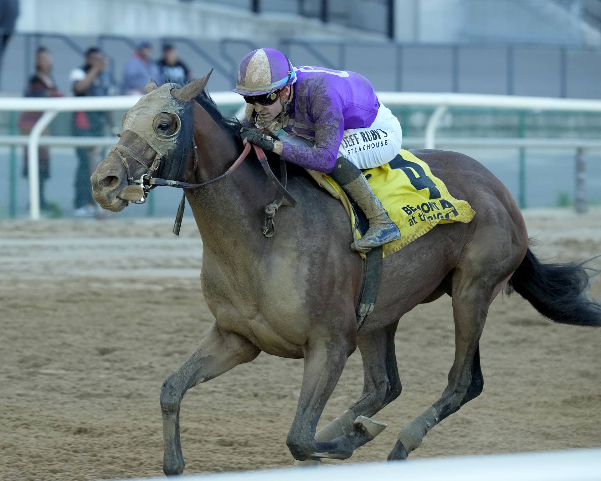 'I Liked What I Saw': Peter Pan Winner Hill Road Tunes Up For Belmont ...