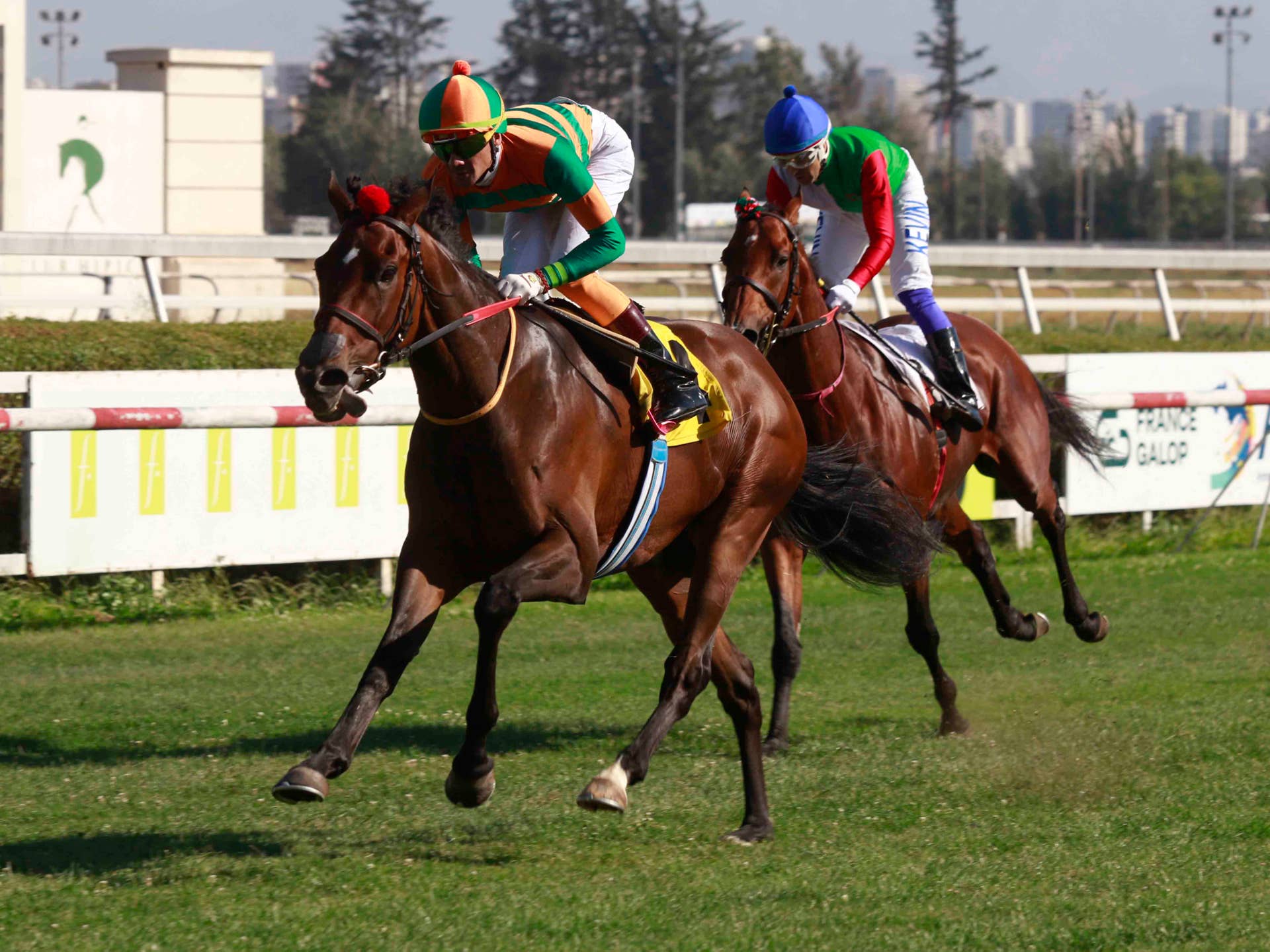 Win And You're In: Frateli La Vita To Defend His Title In Chile ...