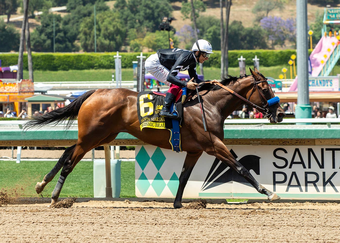 Grade 1 Winner Seismic Beauty To Bid For Santa Margarita Repeat ...