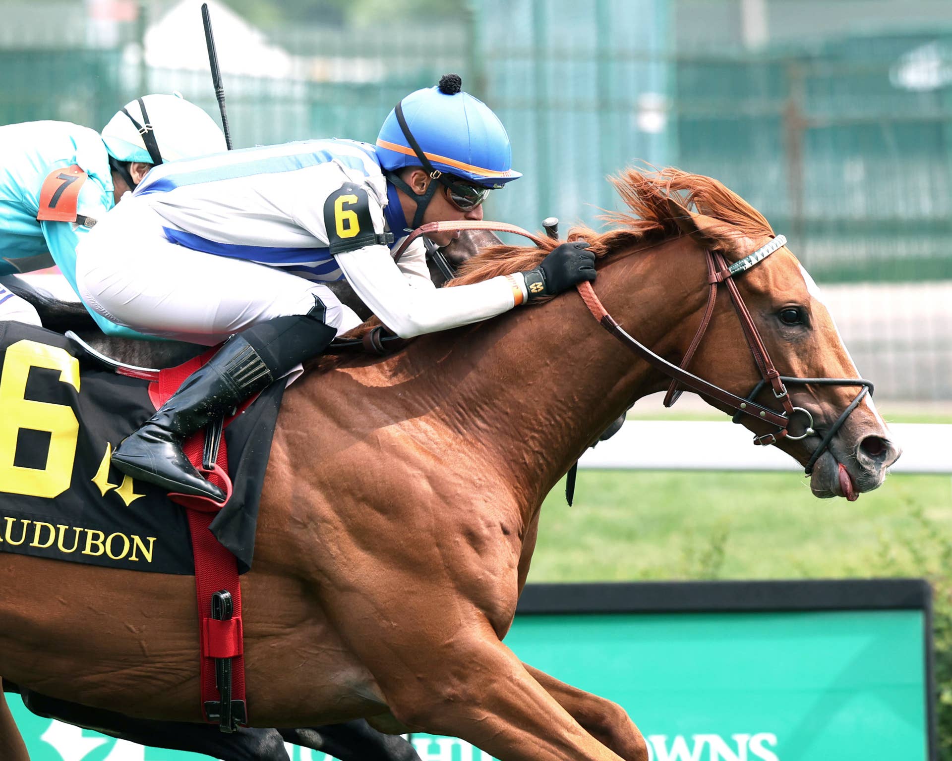 World Beater Surges Late To Take Audubon In Stakes Record Time ...