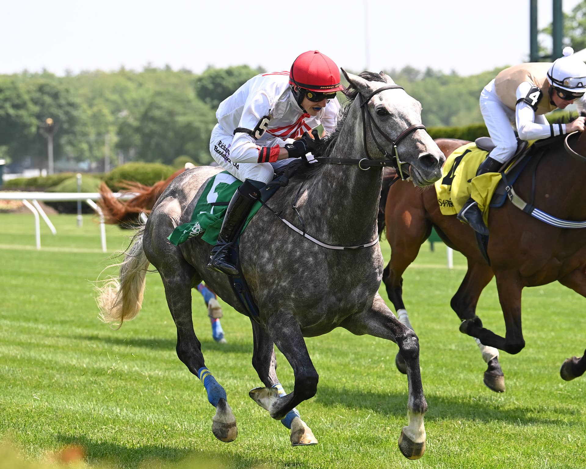 Proven Innocent Jumps To Late-Running Score In Beverly R. Steinman ...