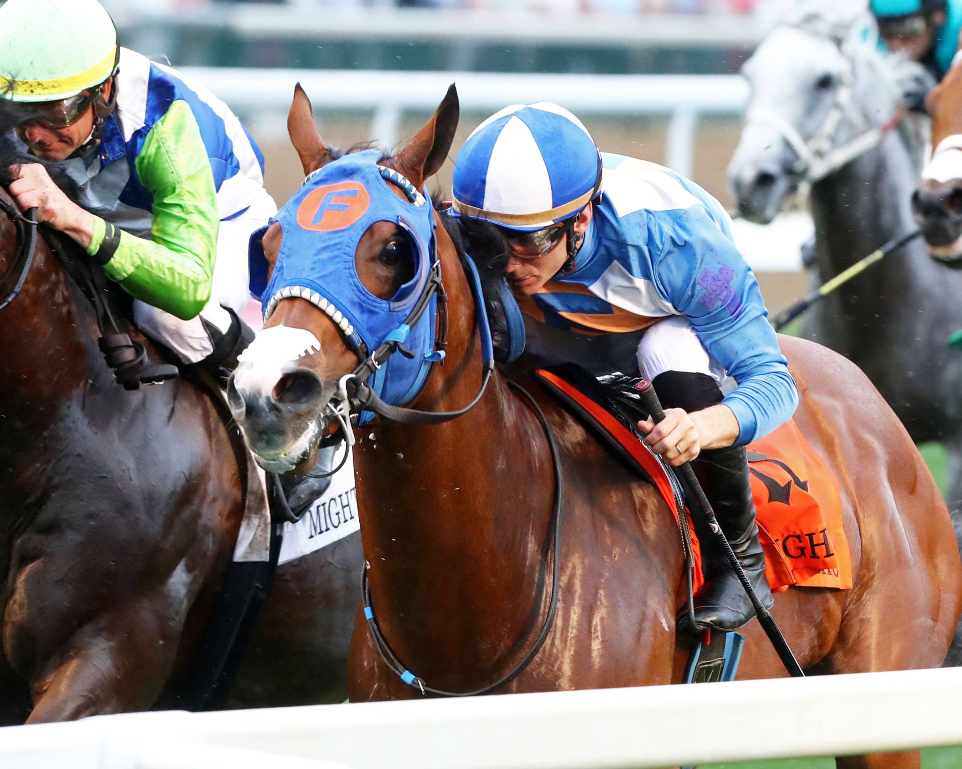 Troubleshooting, Joe Shiesty To Square Off In Mighty Beau - Paulick Report