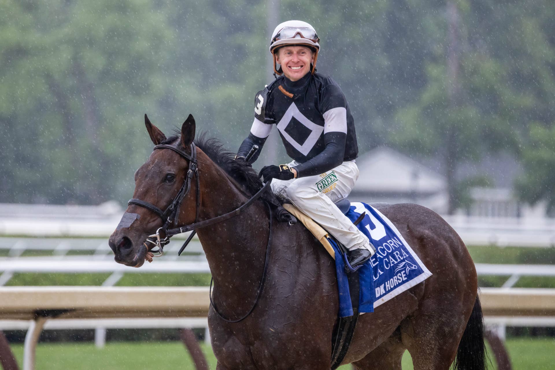 Grade 1 Winner La Cara Retired, Will Be Bred to Not This Time - Paulick ...