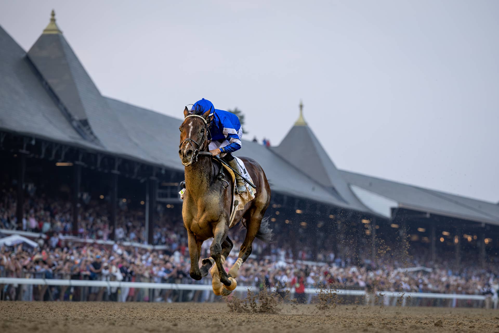 'Trainer's Dream': Sovereignty In Good Order Following Belmont Win ...