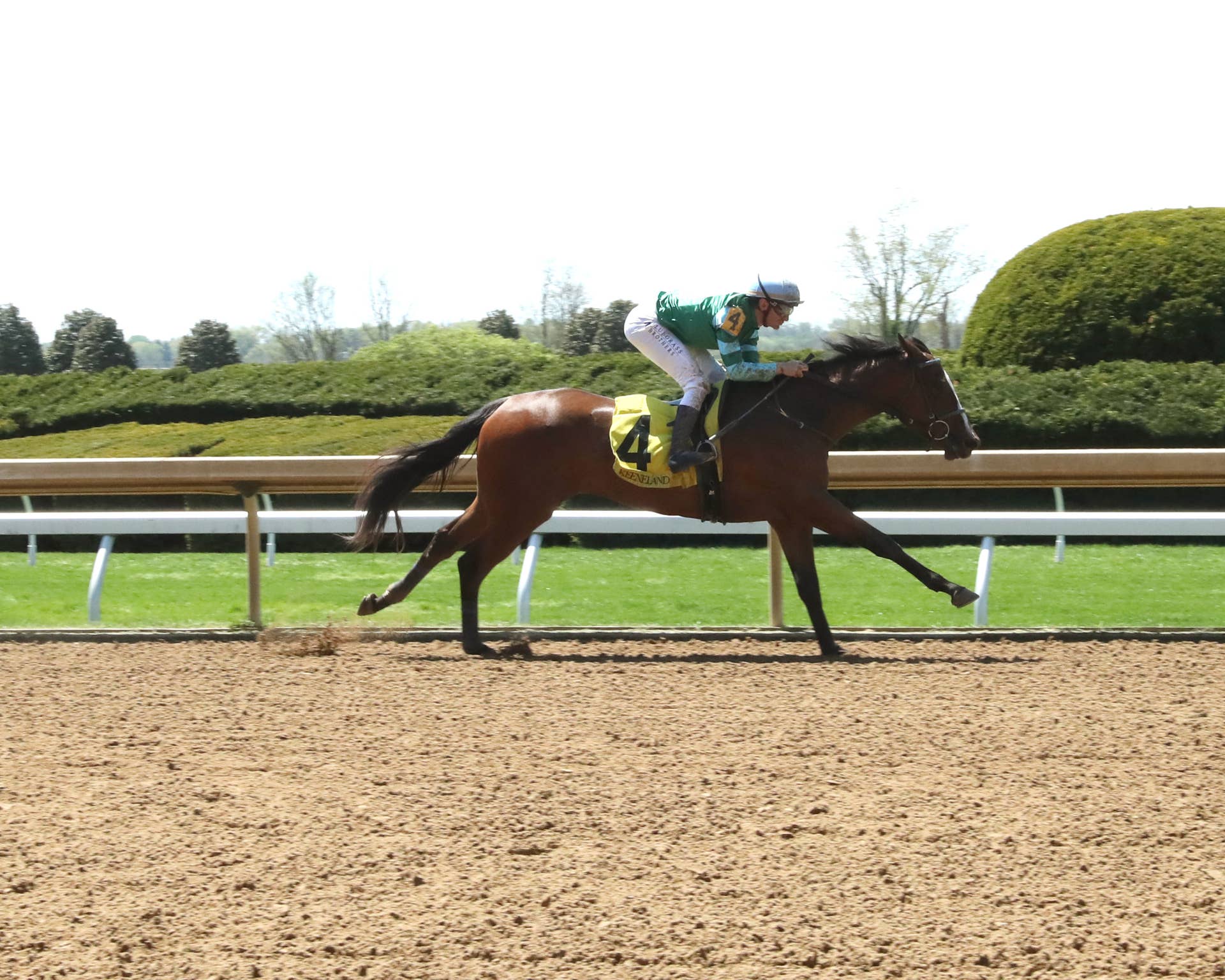 Percy's Bar To Try Stakes Competition In Debutante After Comfortable ...