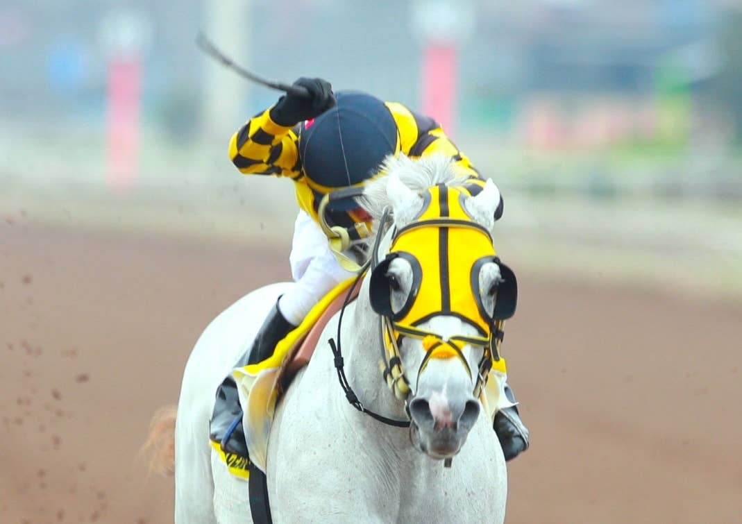 After Stunted Stud Career, Kentucky Derby Runner Enforceable Becomes ...
