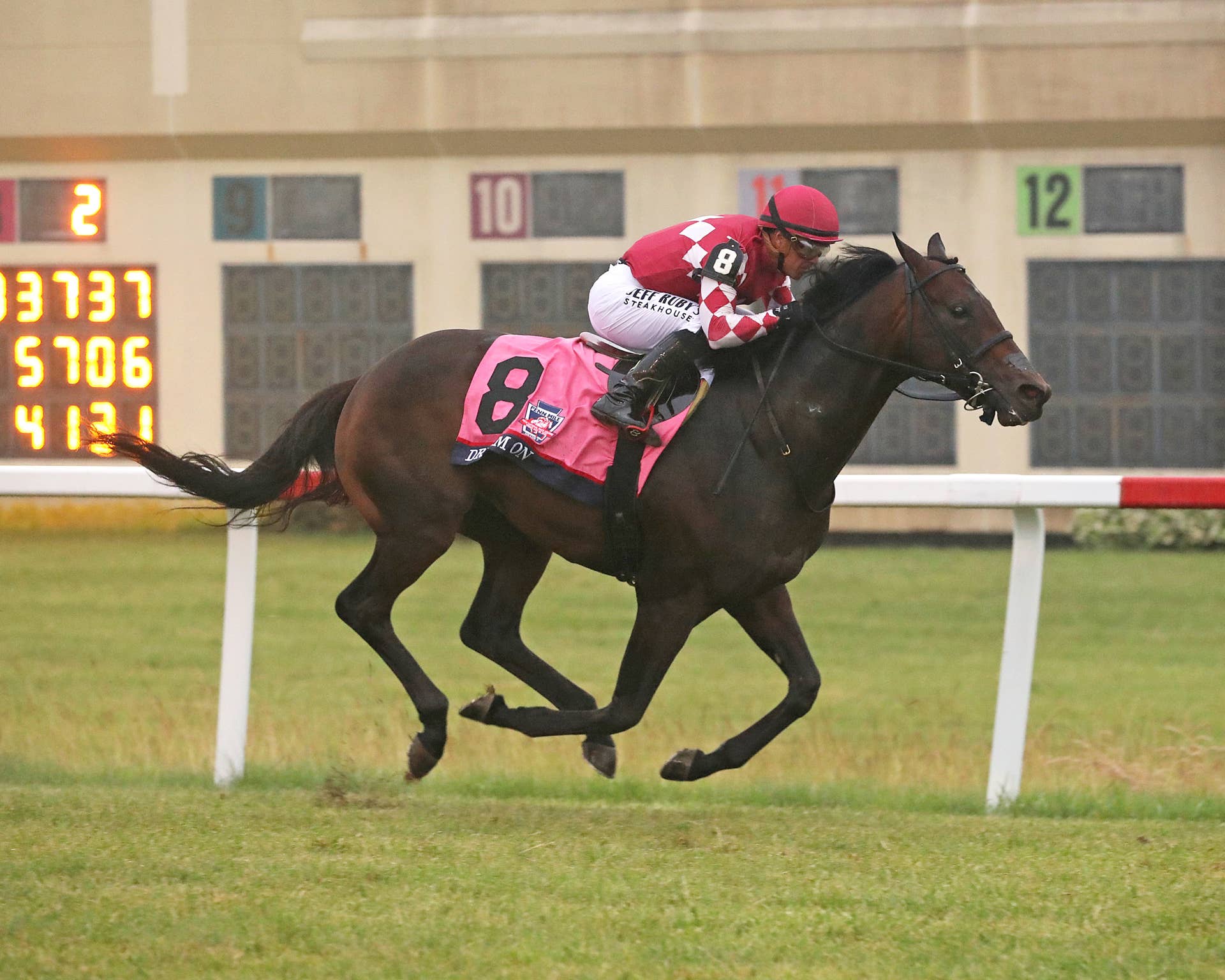 Dream On Seeks Another Graded Score In Secretariat - Paulick Report