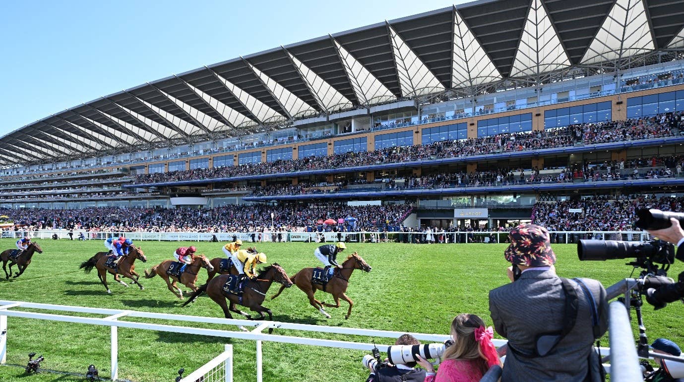In-Form Racing Prospects Highlight Inglis Digital USA June Sale ...