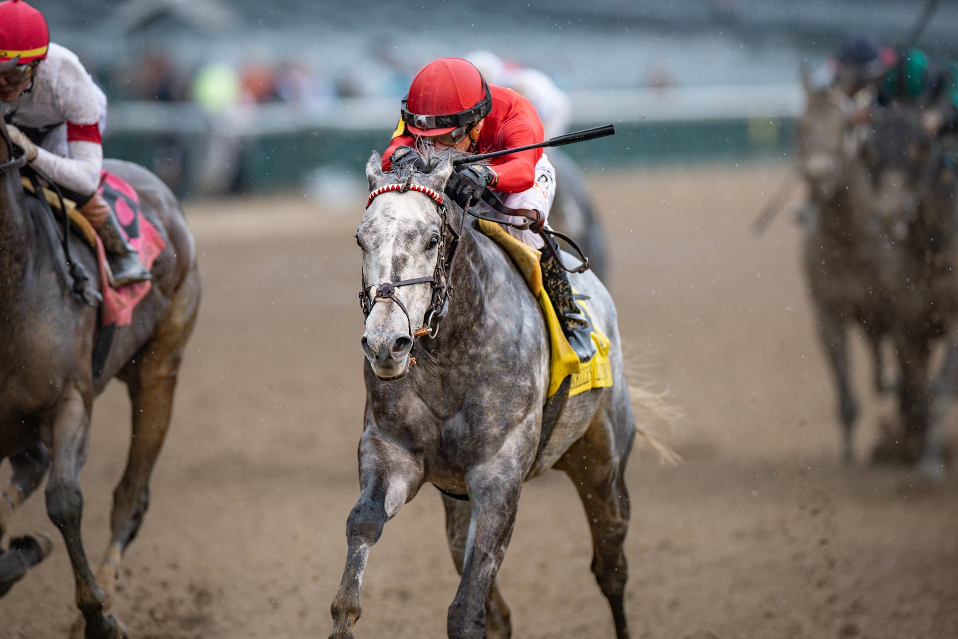 Roll On Big Joe Hangs Tough In Kelly's Landing - Paulick Report