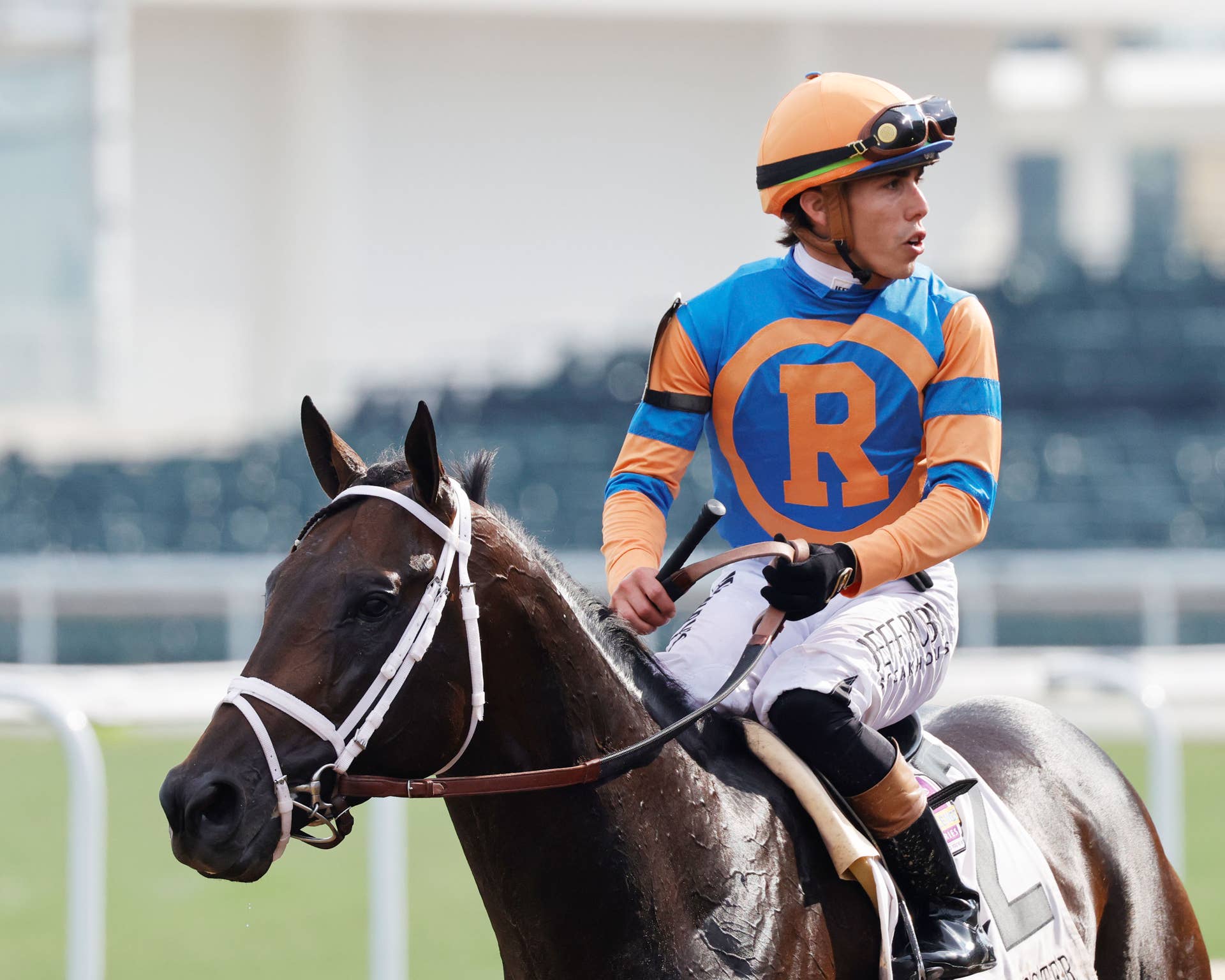 Bloodlines Presented By Walmac Farm: Stephen Foster Winner Mindframe ...