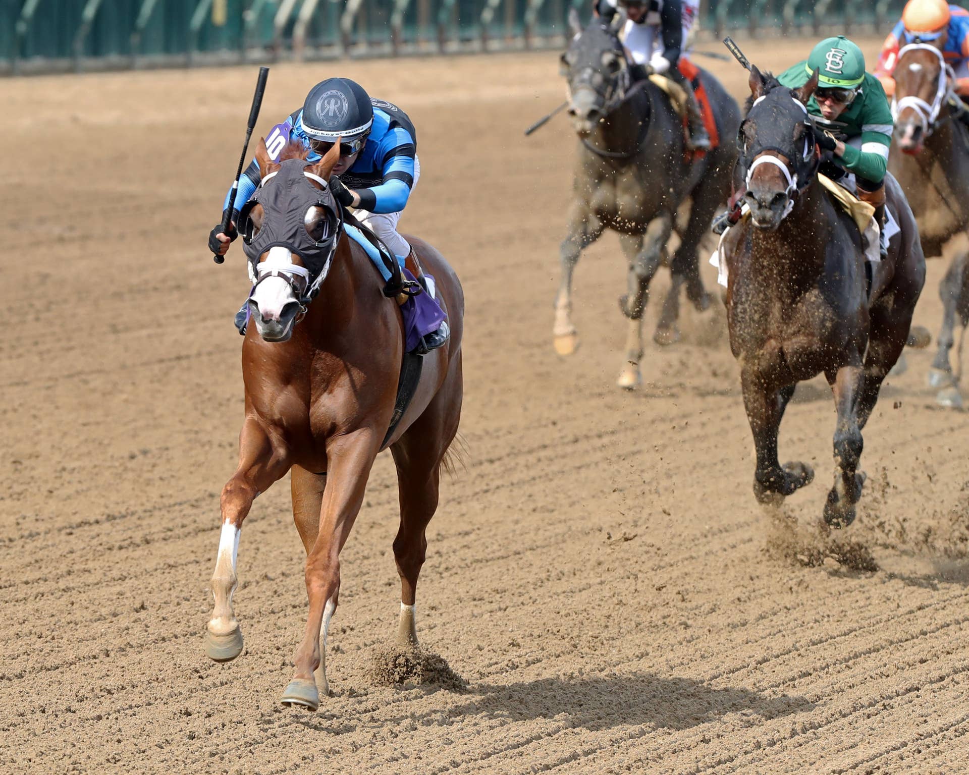 Verifire Clinches Maxfield In Quick Time To Keep Record Perfect ...